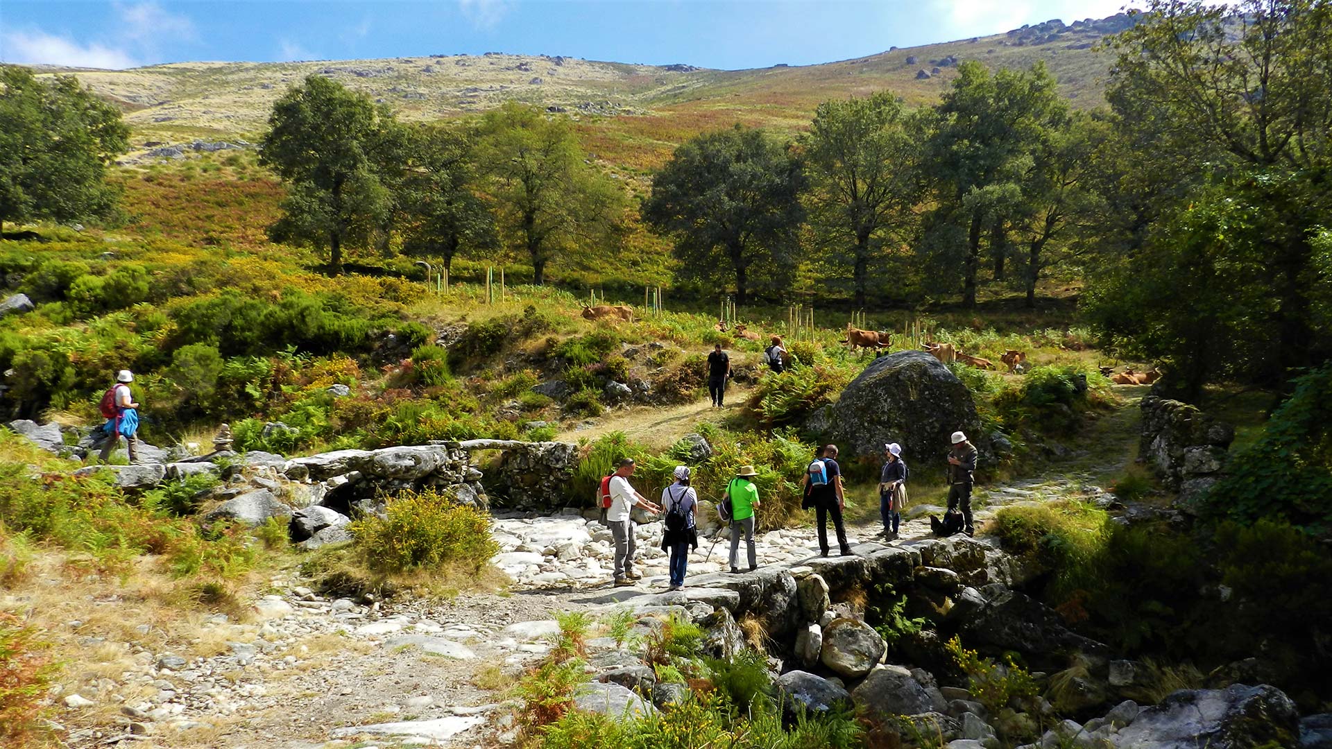 Etapa 9: Ermida - Germil | Portuguese Trails